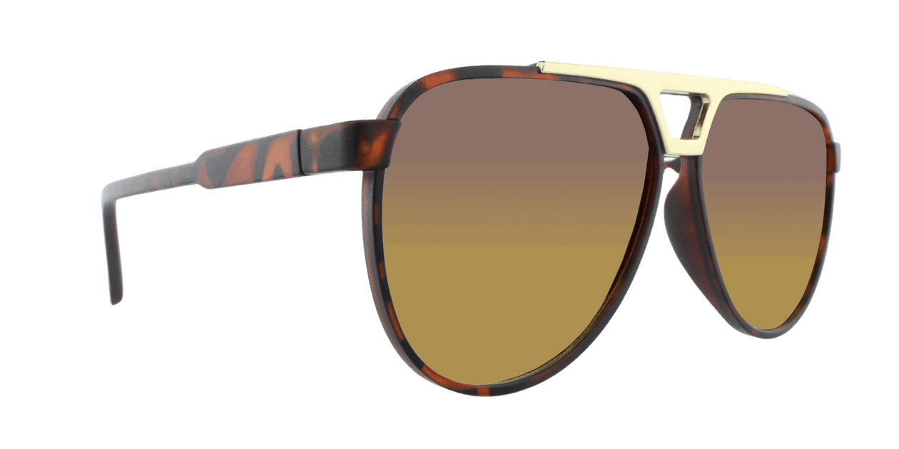 Centurion - Modified Aviator Tortoise Iced w/ Gold (Amber) — Sunglass ...